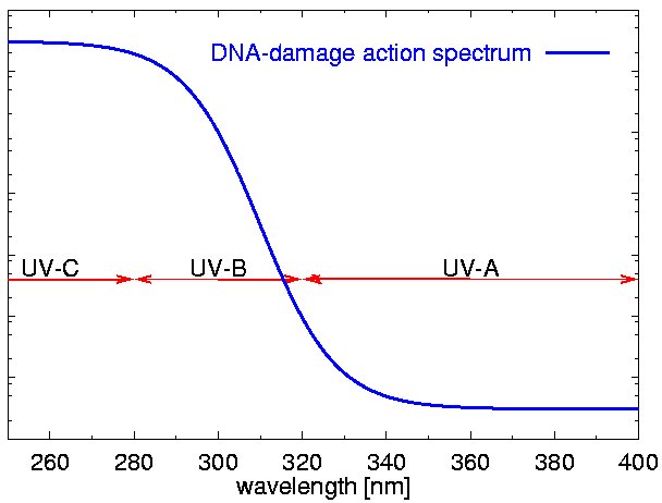 Les UV et l’ADN — Site des ressources d'ACCES pour enseigner les ...