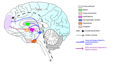 système de récompense — Site des ressources d'ACCES pour enseigner les ...